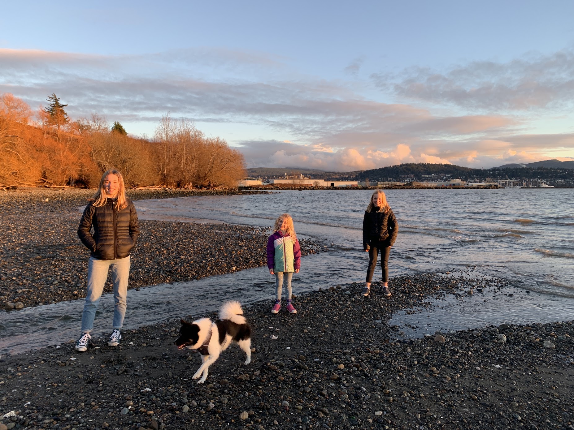 About – Bellingham Pet Pals